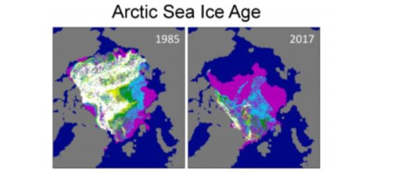 Extensions banquises Arctique et Antarctique 2017 - Grands Espaces