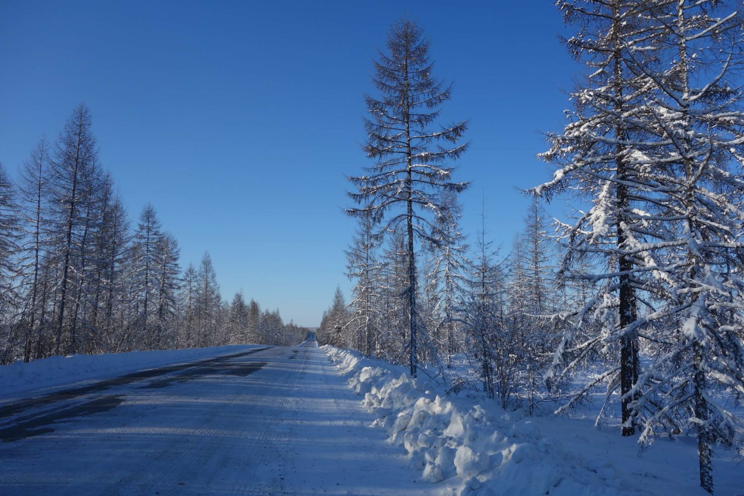 Circuit Sibérie-Yakoutie de février 2019 - Visiter Yakutsk, Omyakon