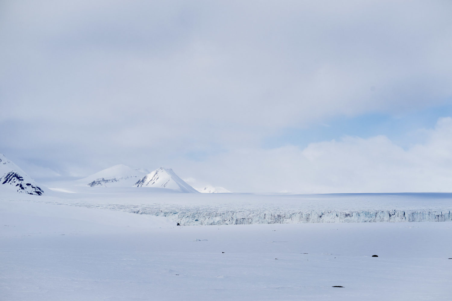 Le Printemps Polaire à bord du Polarfront - Croisière Polaire - Grands ...