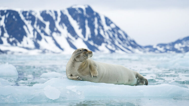Sélection des plus belles photos de la faune 2022 - Grands Espaces