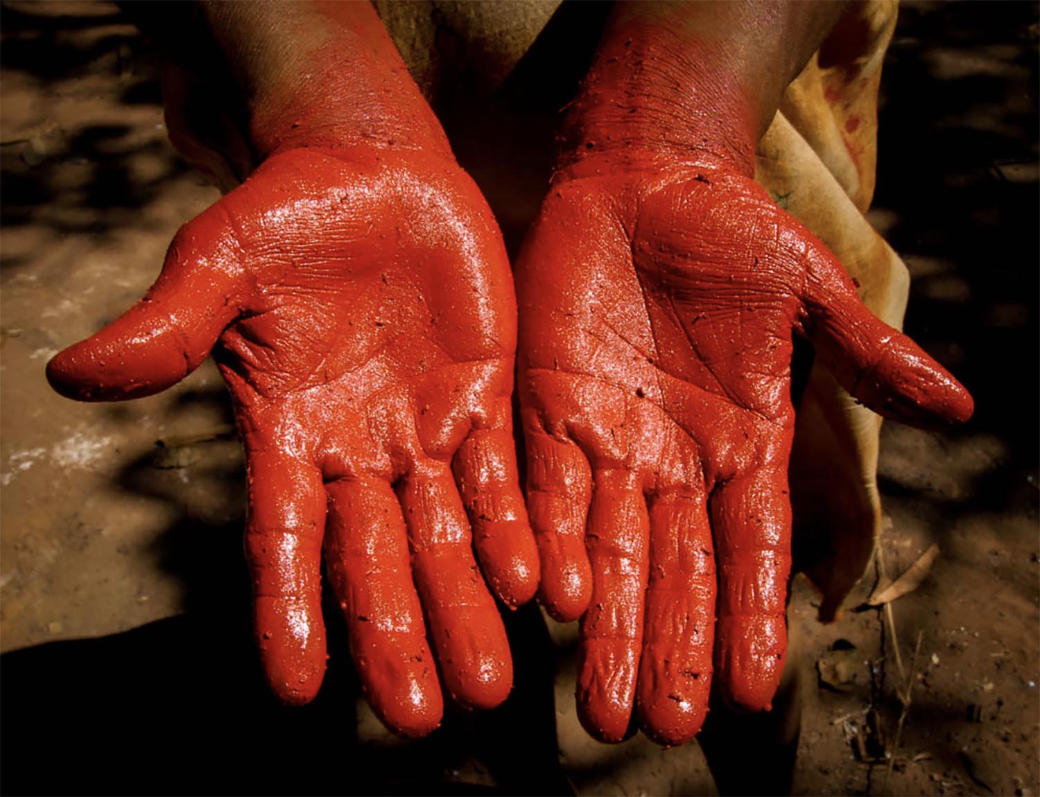 La réserve de Xingu en Amazonie : voyage vers un autre monde - Grands ...